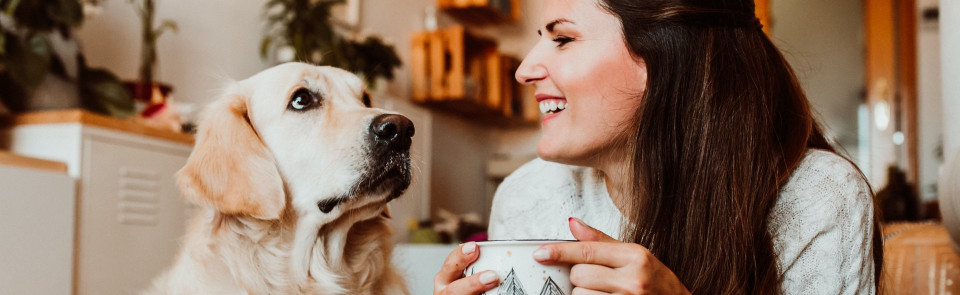 BLIK Pay Later now available on the PPRO platform - BLIK Pay Later now ...